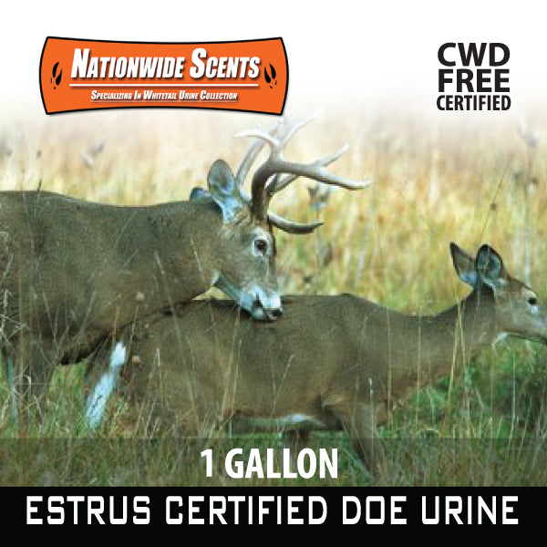 Estrus Certified Doe Urine – Nationwide Scents